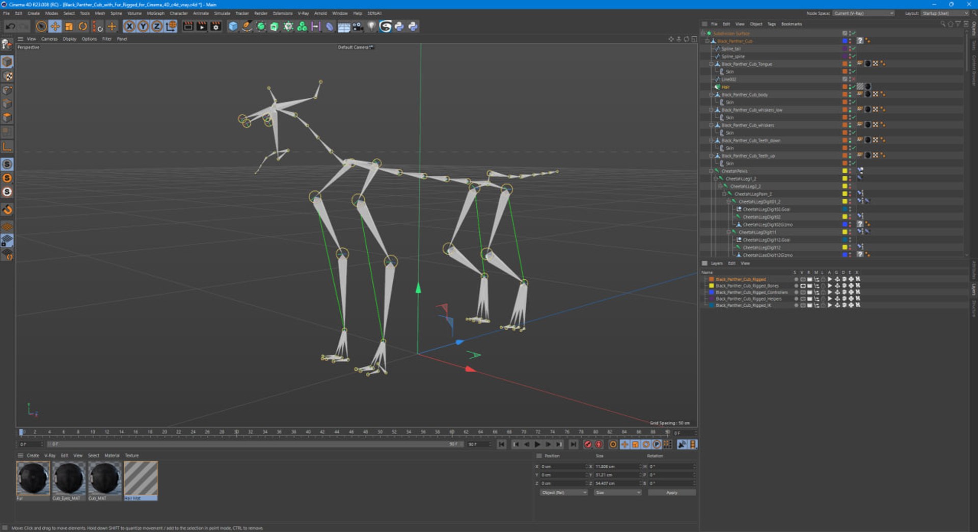 3D Black Panther Cub With Fur For Cinema 4D Rigged Model - TurboSquid 2407483