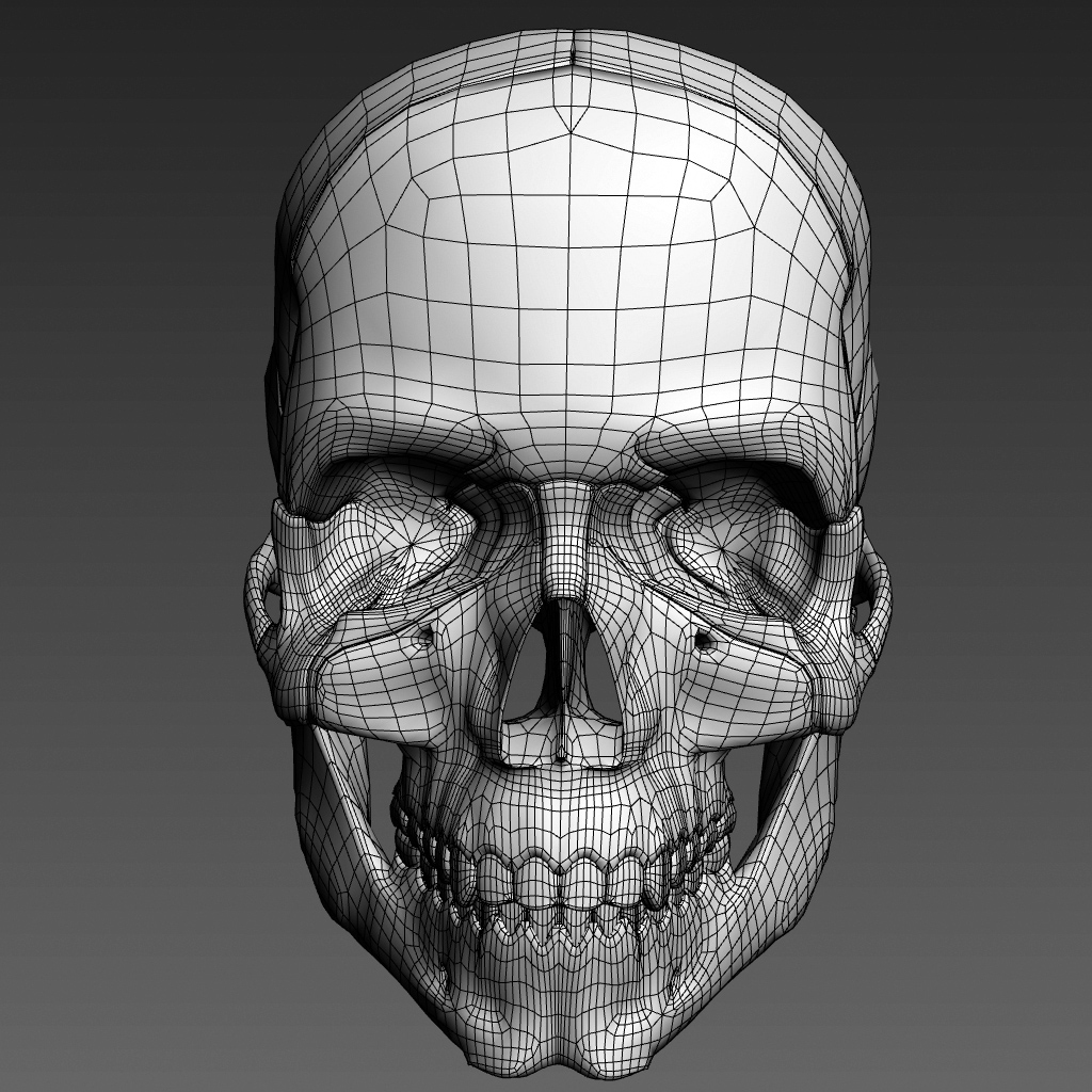skull 3d max