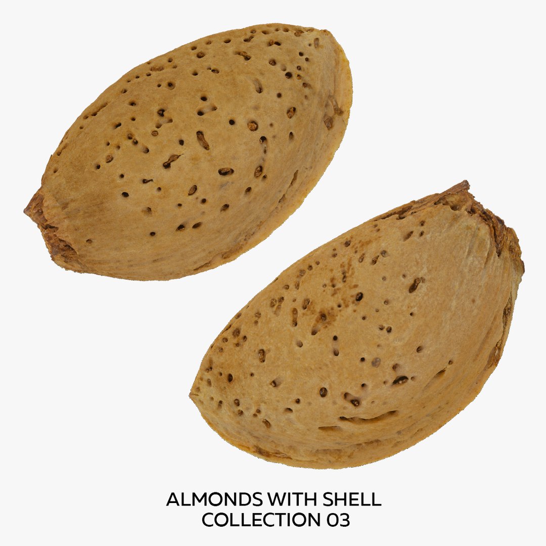 3D Almonds With Shell Collection 03 - 2 Models RAW Scans Model ...