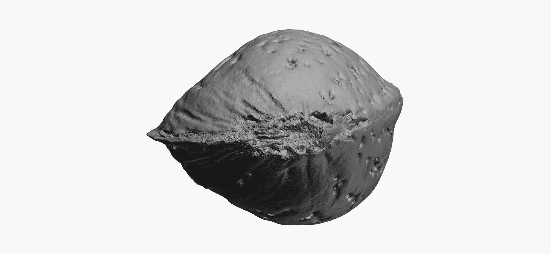3D Almonds With Shell Collection 03 - 2 Models RAW Scans Model ...