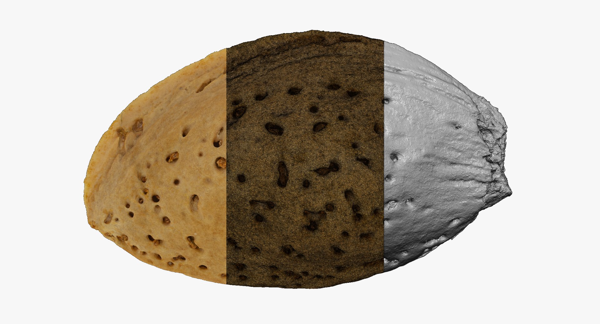 3D Almonds With Shell Collection 03 - 2 Models RAW Scans Model ...