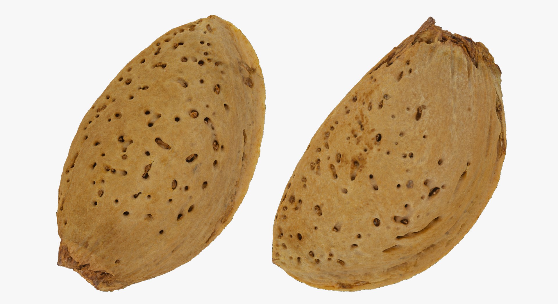3D Almonds With Shell Collection 03 - 2 Models RAW Scans Model ...