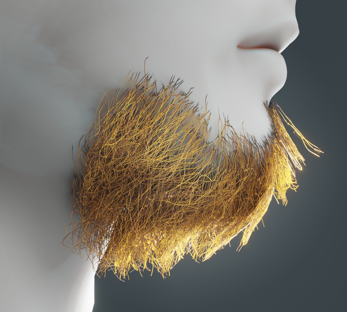 Beard RealTime 15 Version 2 3D Model - TurboSquid 1892383