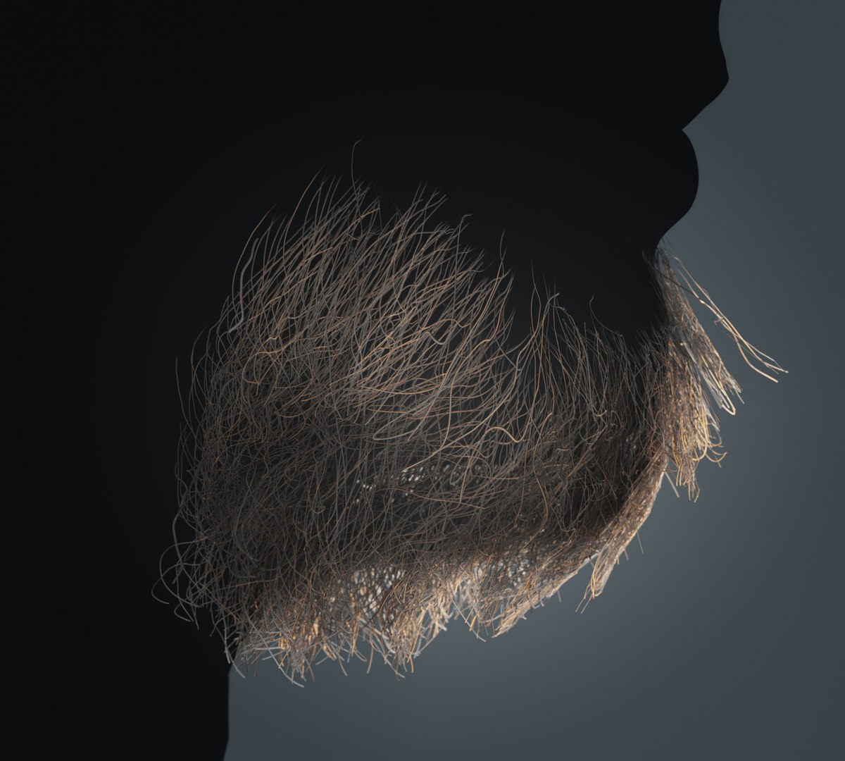 Beard RealTime 15 Version 2 3D Model - TurboSquid 1892383