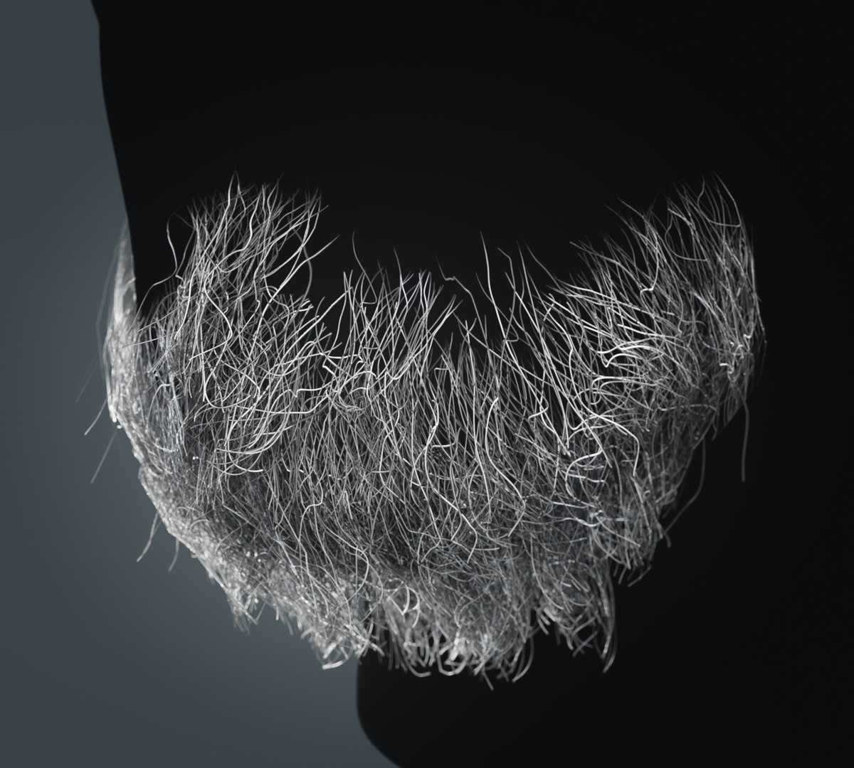 Beard RealTime 15 Version 2 3D Model - TurboSquid 1892383