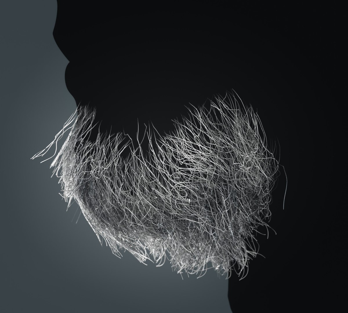 Beard RealTime 15 Version 2 3D Model - TurboSquid 1892383