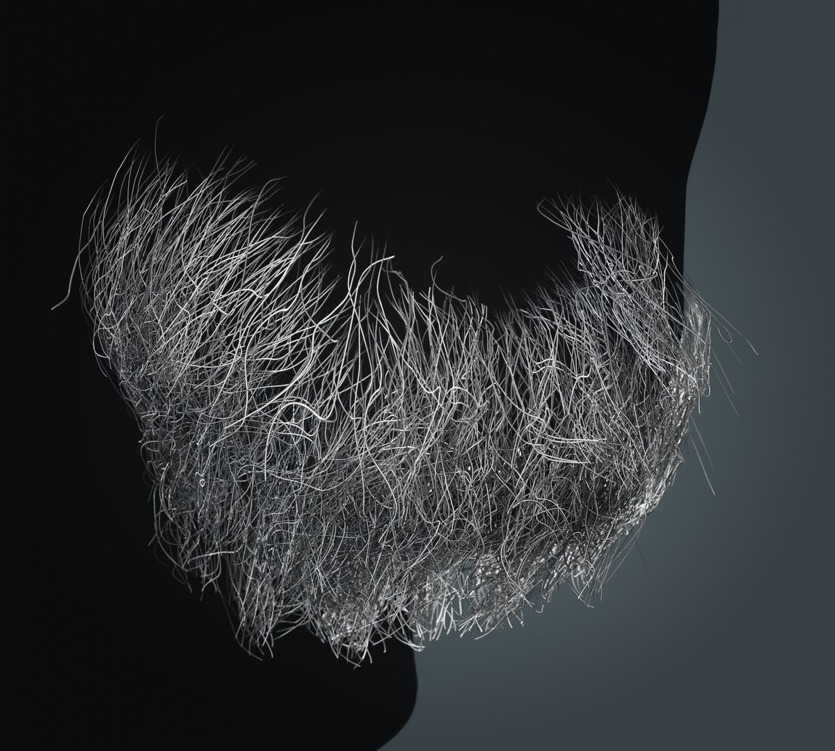 Beard RealTime 15 Version 2 3D Model - TurboSquid 1892383