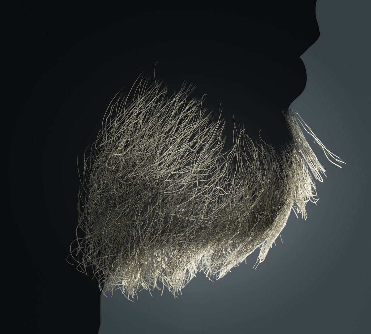 Beard RealTime 15 Version 2 3D Model - TurboSquid 1892383