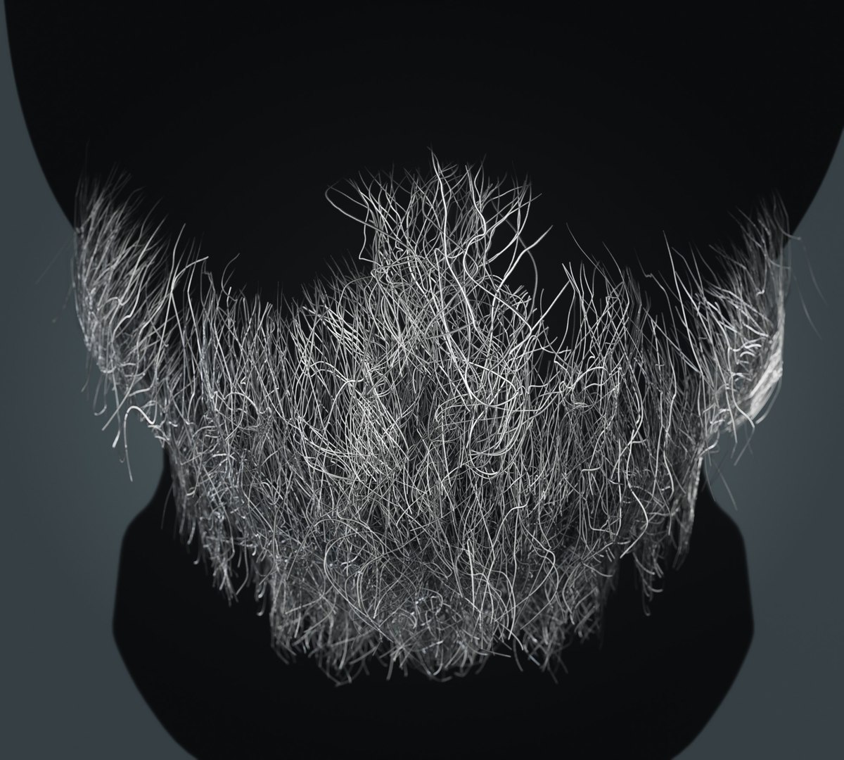 Beard RealTime 15 Version 2 3D Model - TurboSquid 1892383