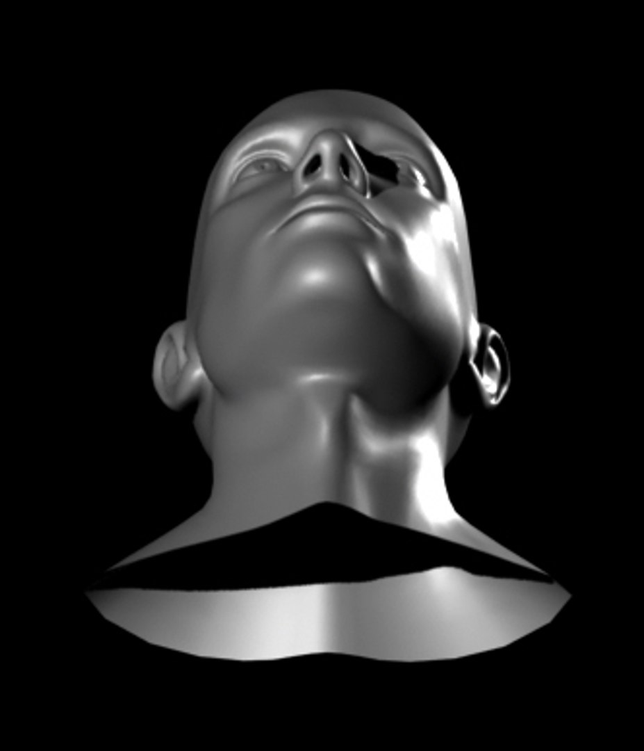 3d Model Human Head