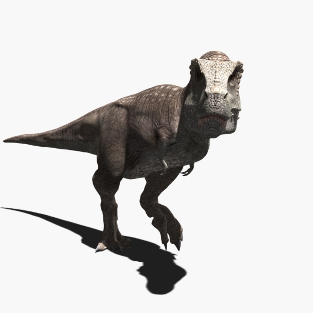 3d T Rex Model