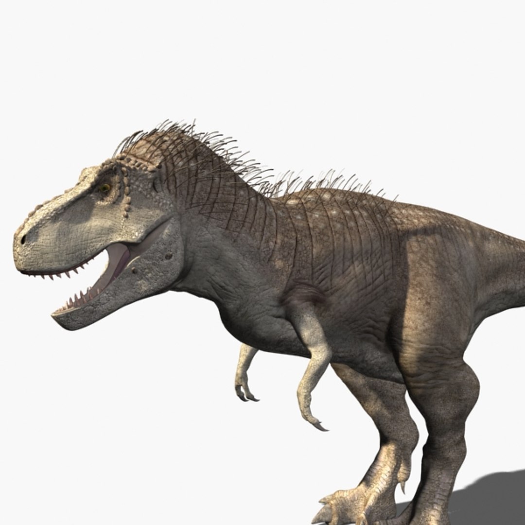 3d T Rex Model