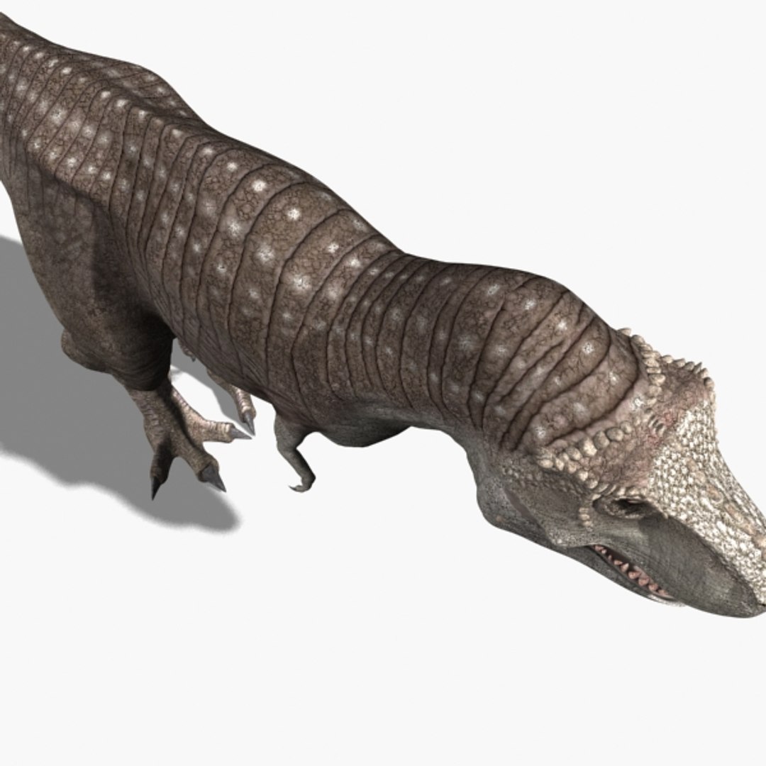 3d T Rex Model