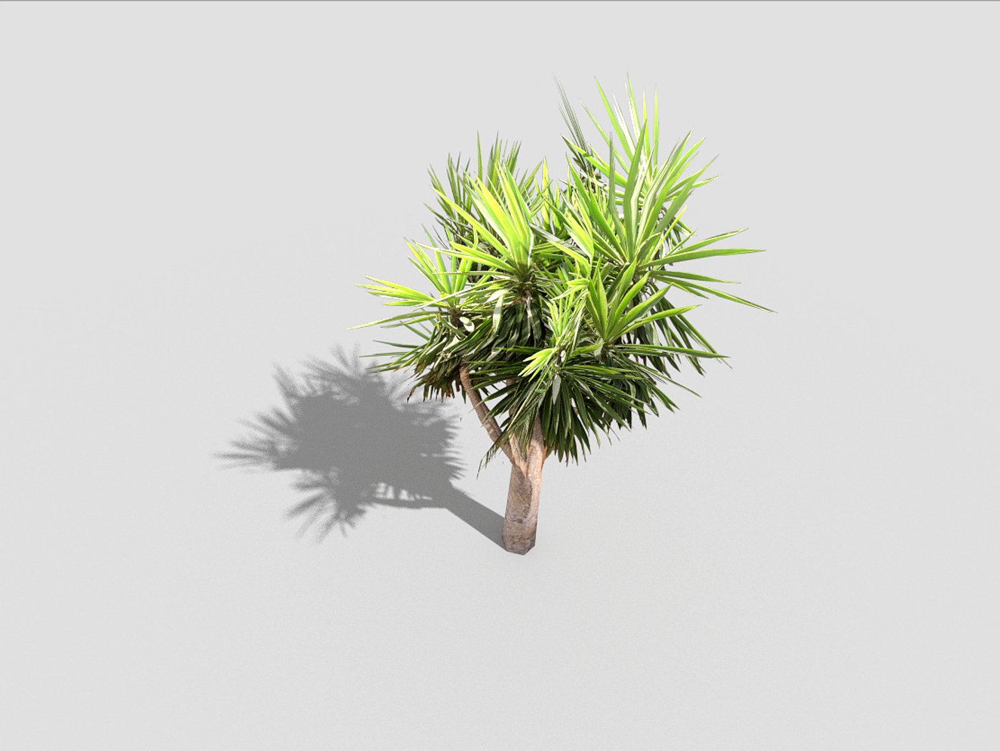 3d model tropical tree