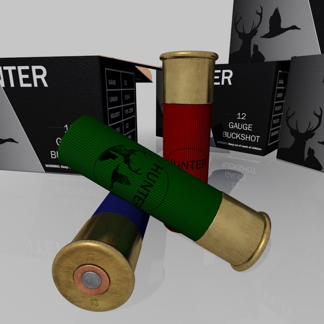 Shotgun Shells 3d Model