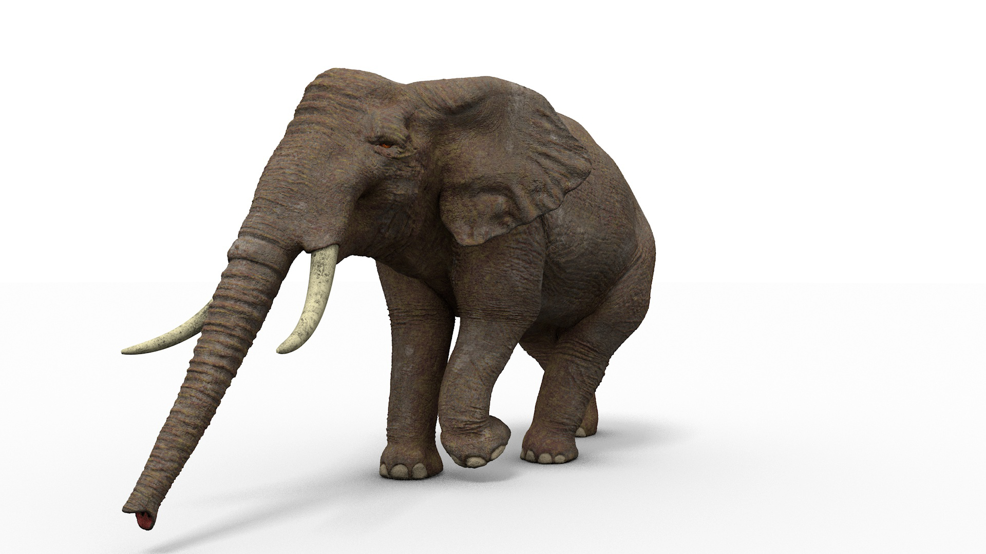 3D Model Elephant - TurboSquid 1919971