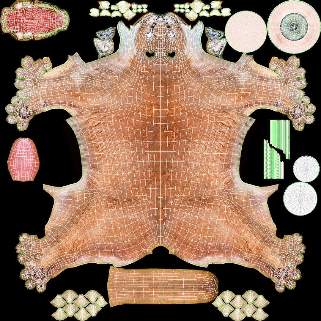 Caracal Fur 3D Model - TurboSquid 2183506