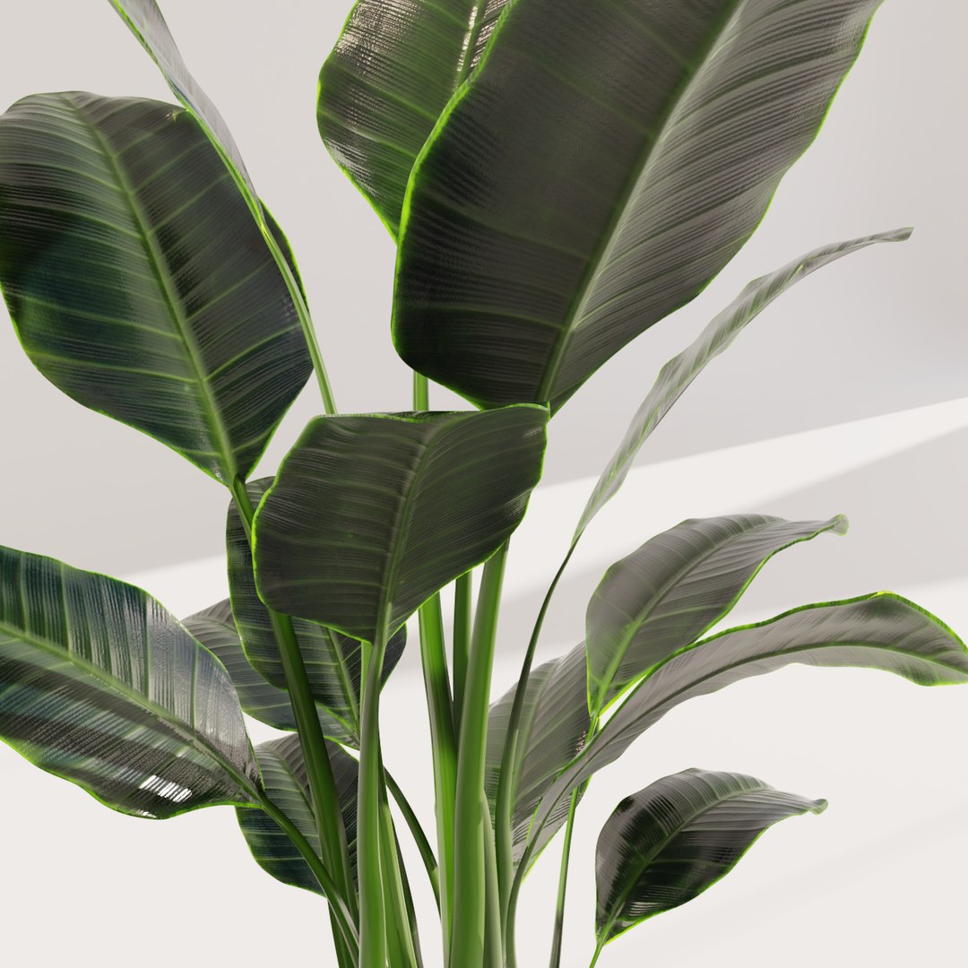 Green Plant Model - TurboSquid 1515329