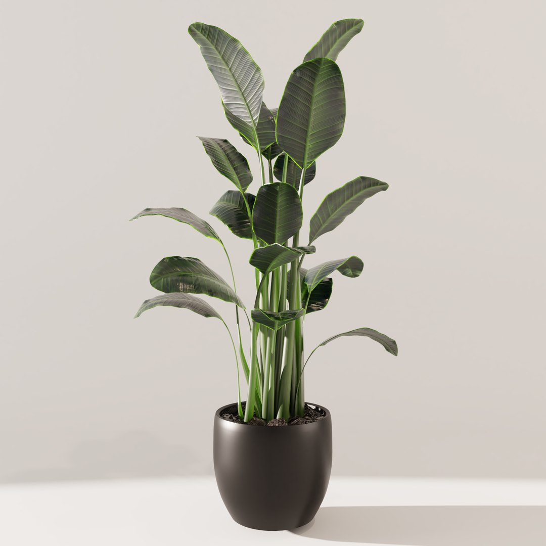 Green Plant Model - TurboSquid 1515329