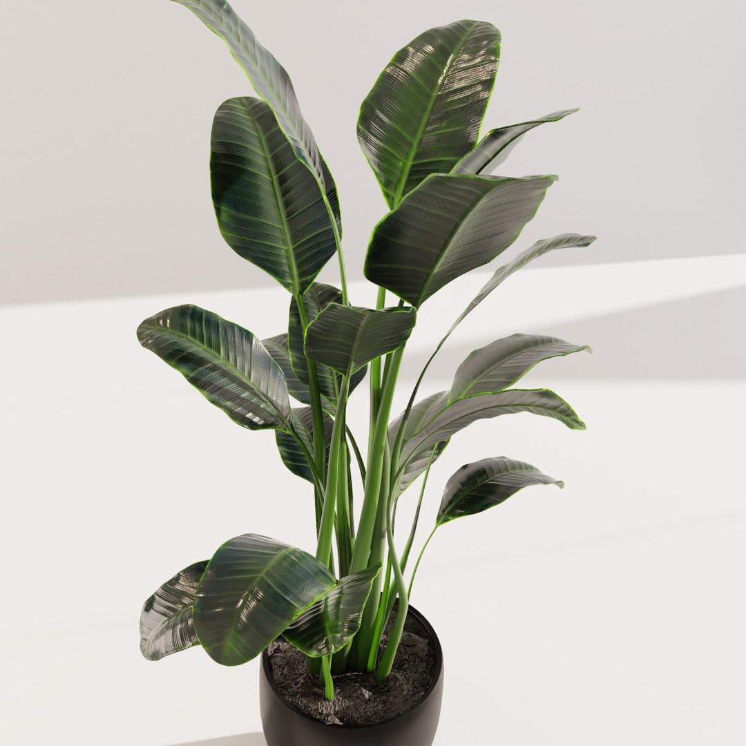 Green Plant Model - TurboSquid 1515329