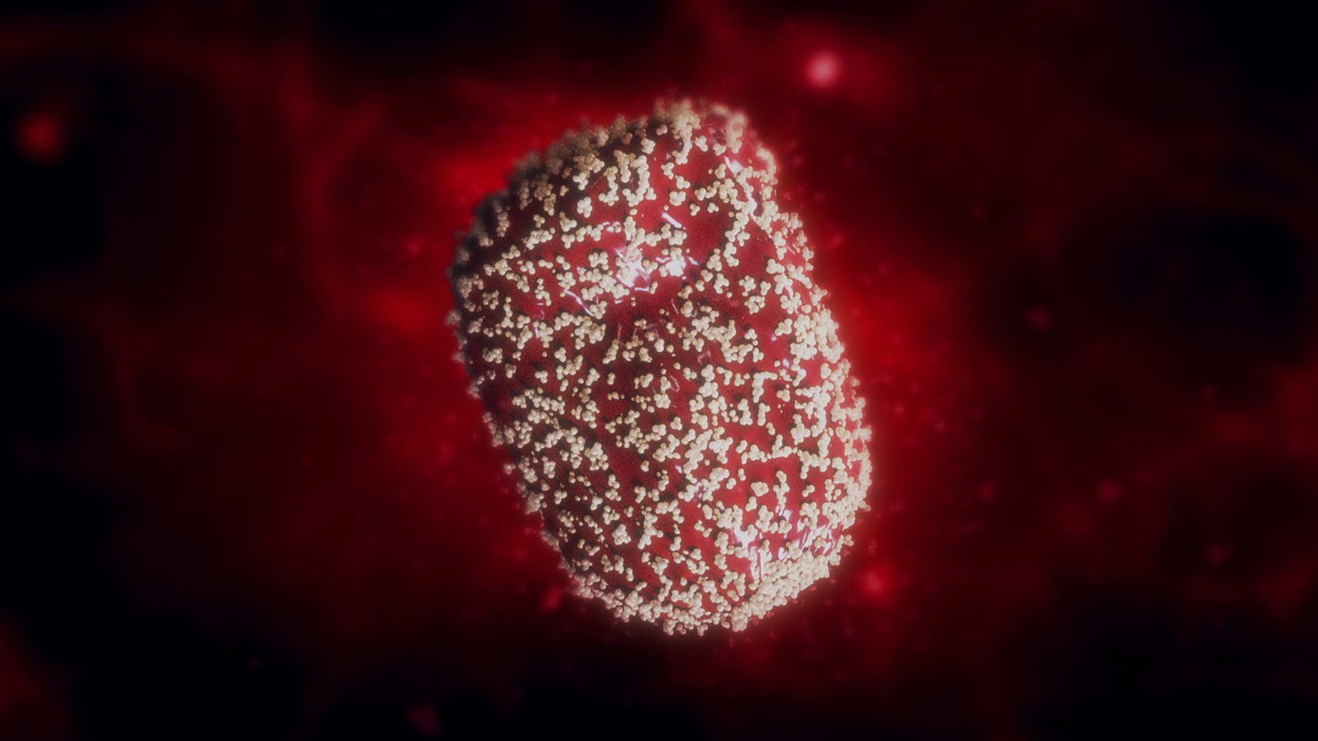 Monkeypox Virus Animation 3D Model - TurboSquid 1937852