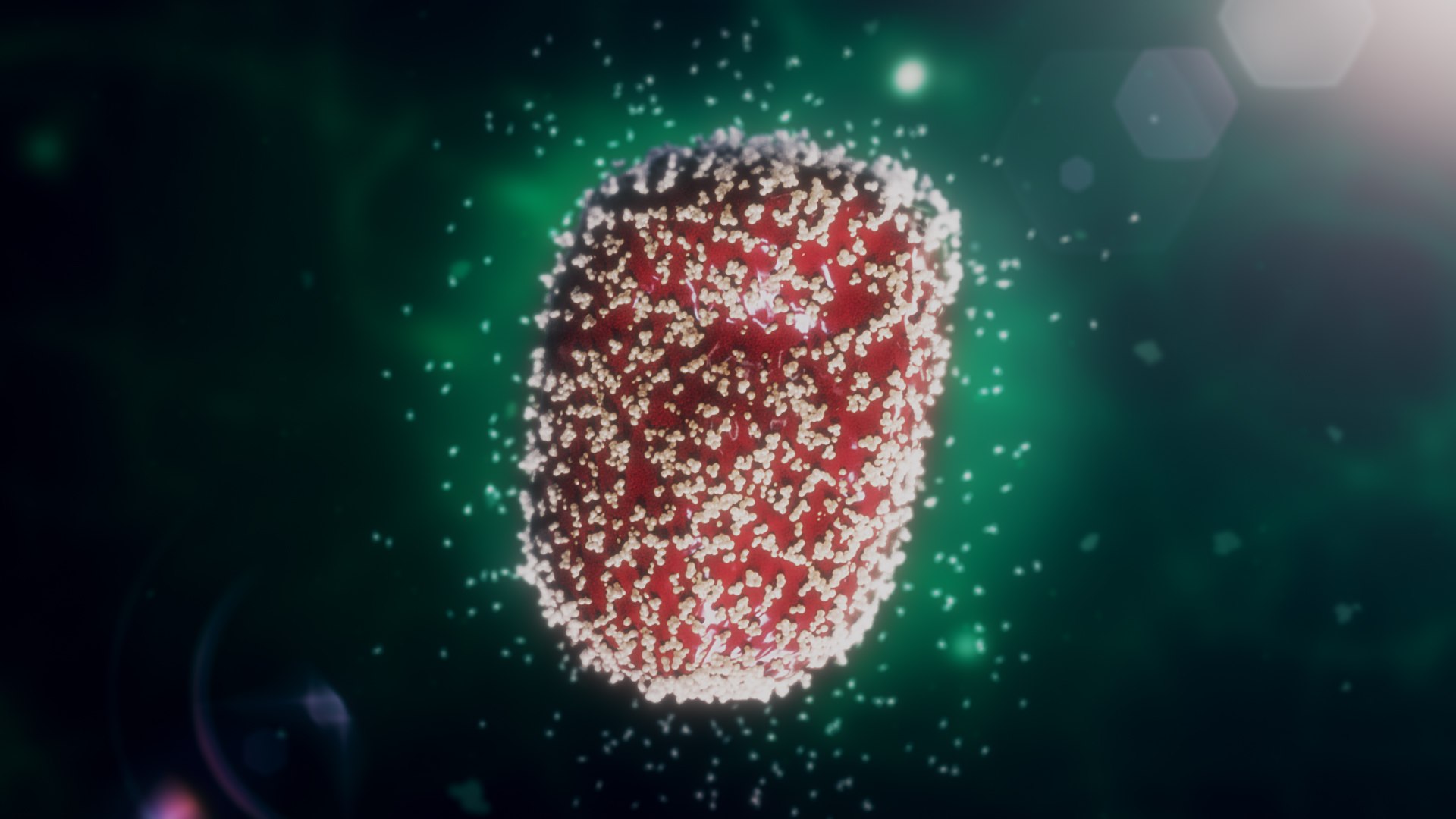 Monkeypox Virus Animation 3D Model - TurboSquid 1937852