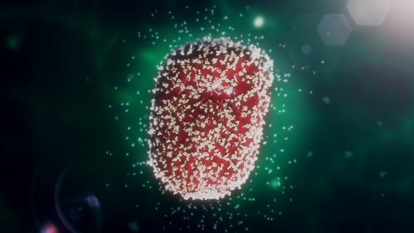 modelo 3d Animación del virus de la viruela del mono - TurboSquid 1937852