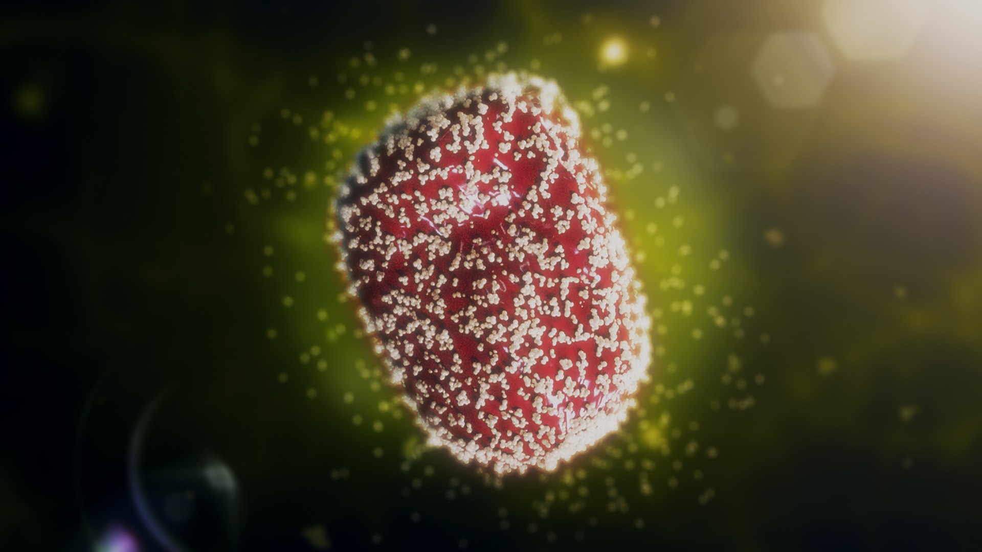 Monkeypox Virus Animation 3D Model - TurboSquid 1937852