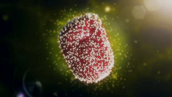 modelo 3d Animación del virus de la viruela del mono - TurboSquid 1937852