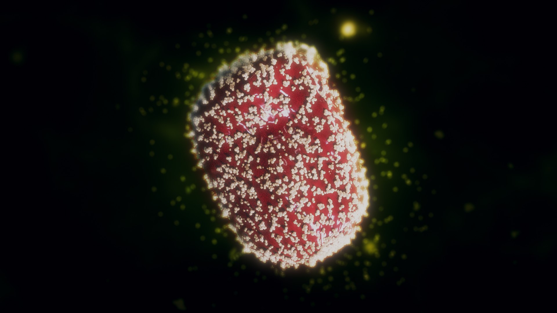 Monkeypox Virus Animation 3D Model - TurboSquid 1937852