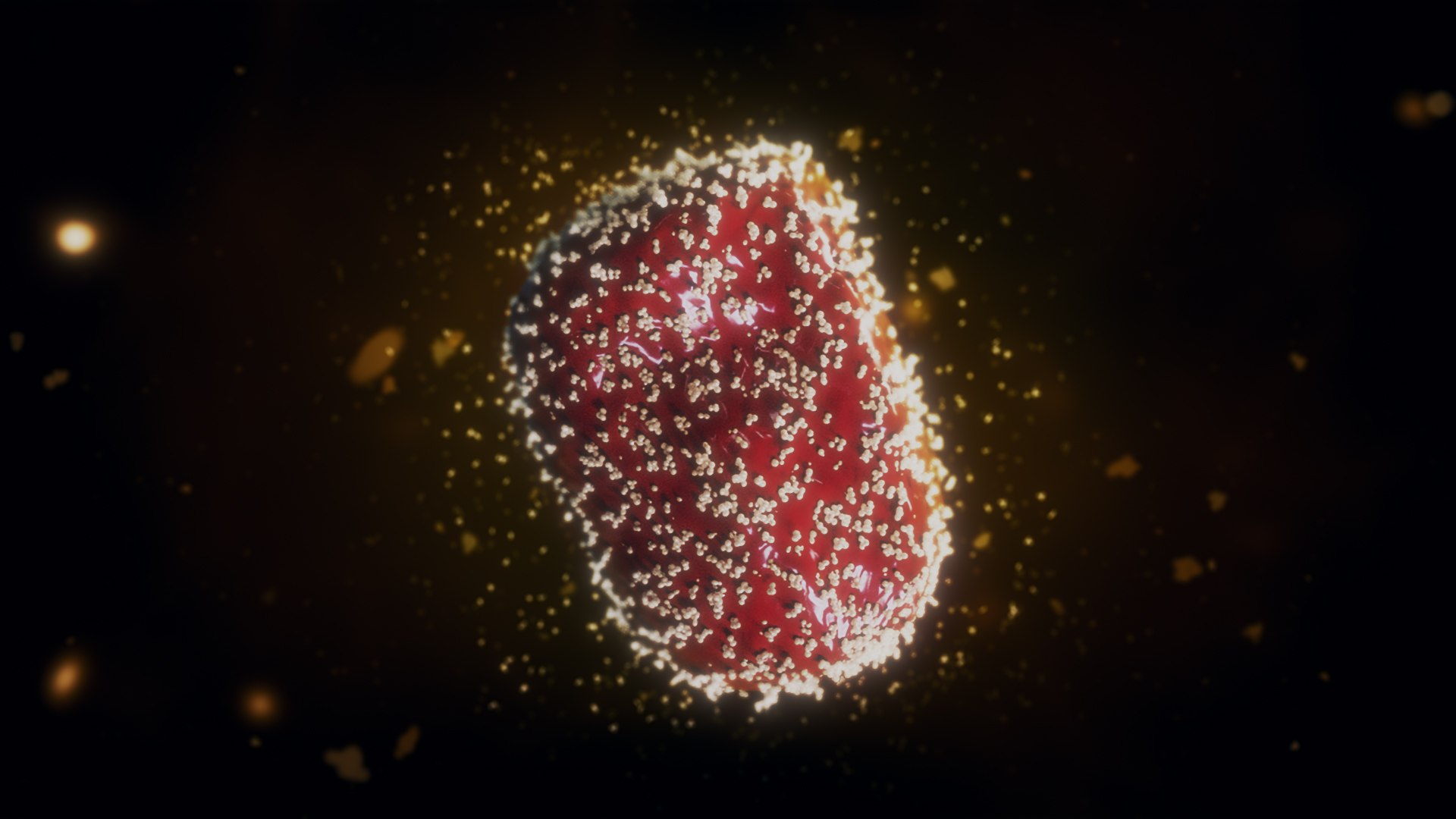 Monkeypox Virus Animation 3D Model - TurboSquid 1937852