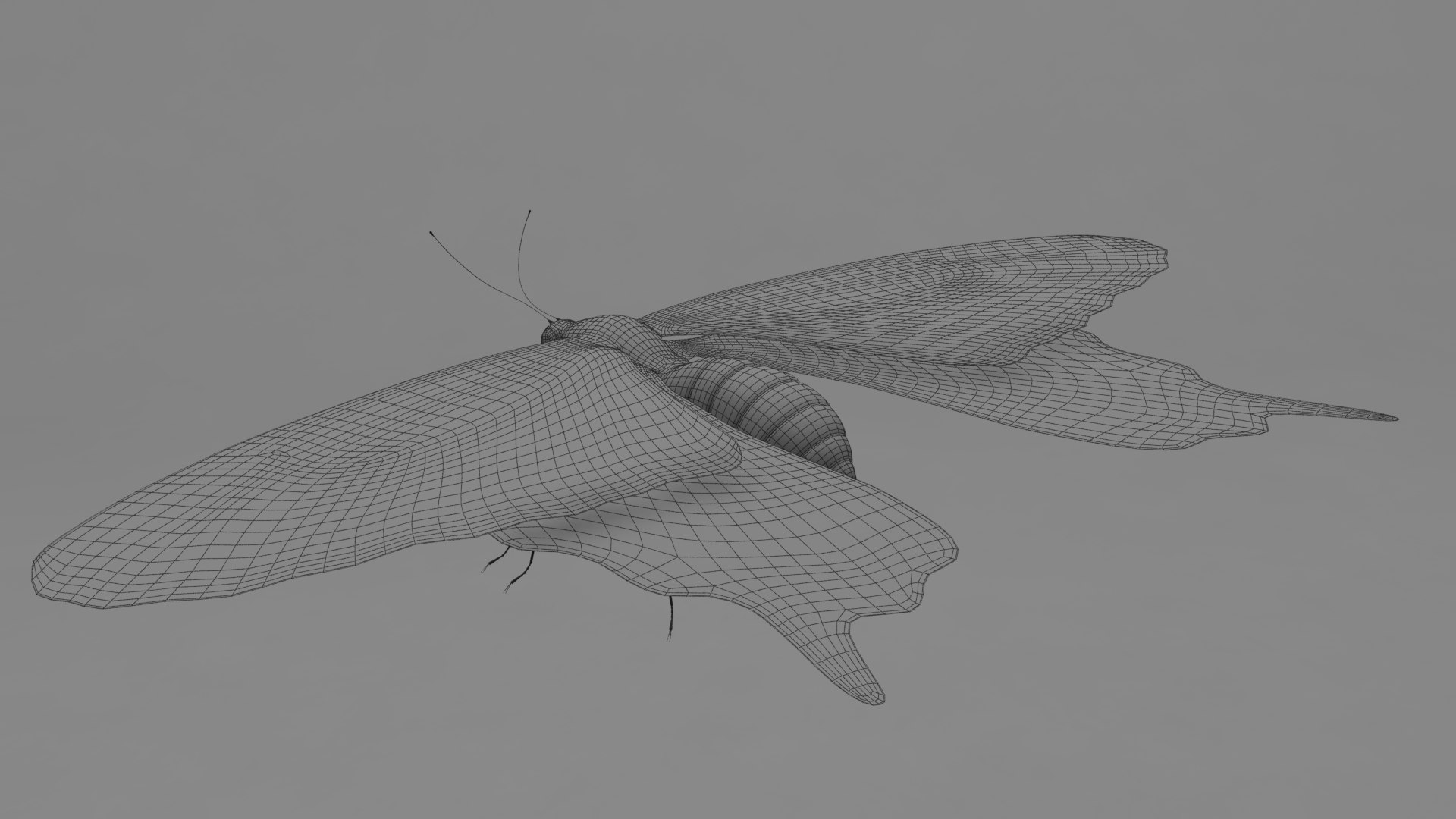 Rigged Butterfly Max