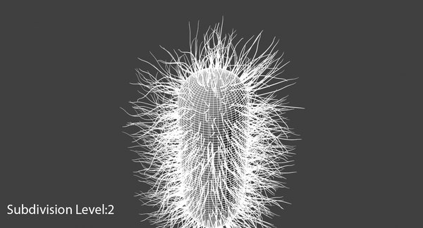 modelo 3d Escherichia Coli Bacteria - TurboSquid 1300111