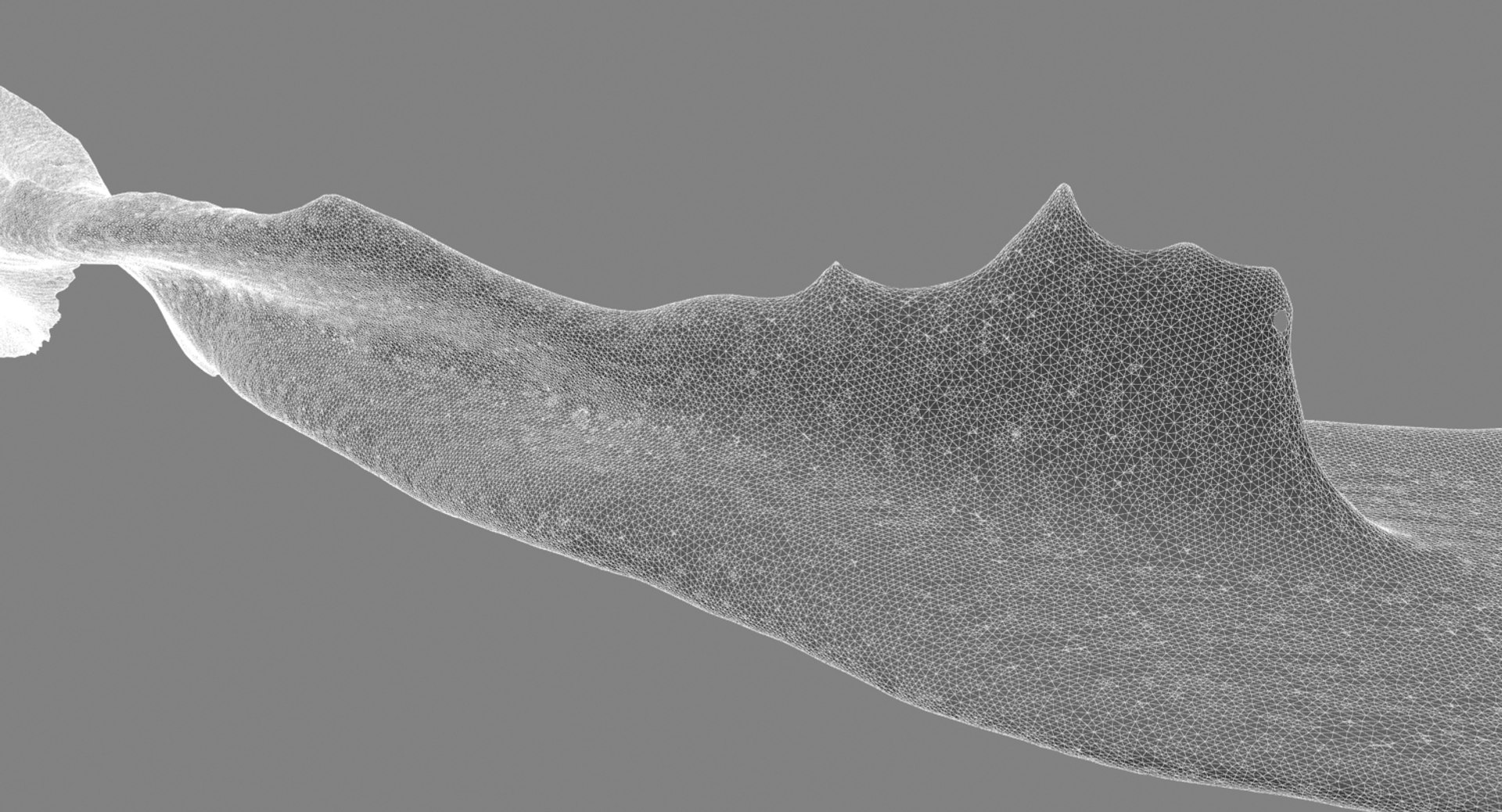 Liquid flow water model - TurboSquid 1355310