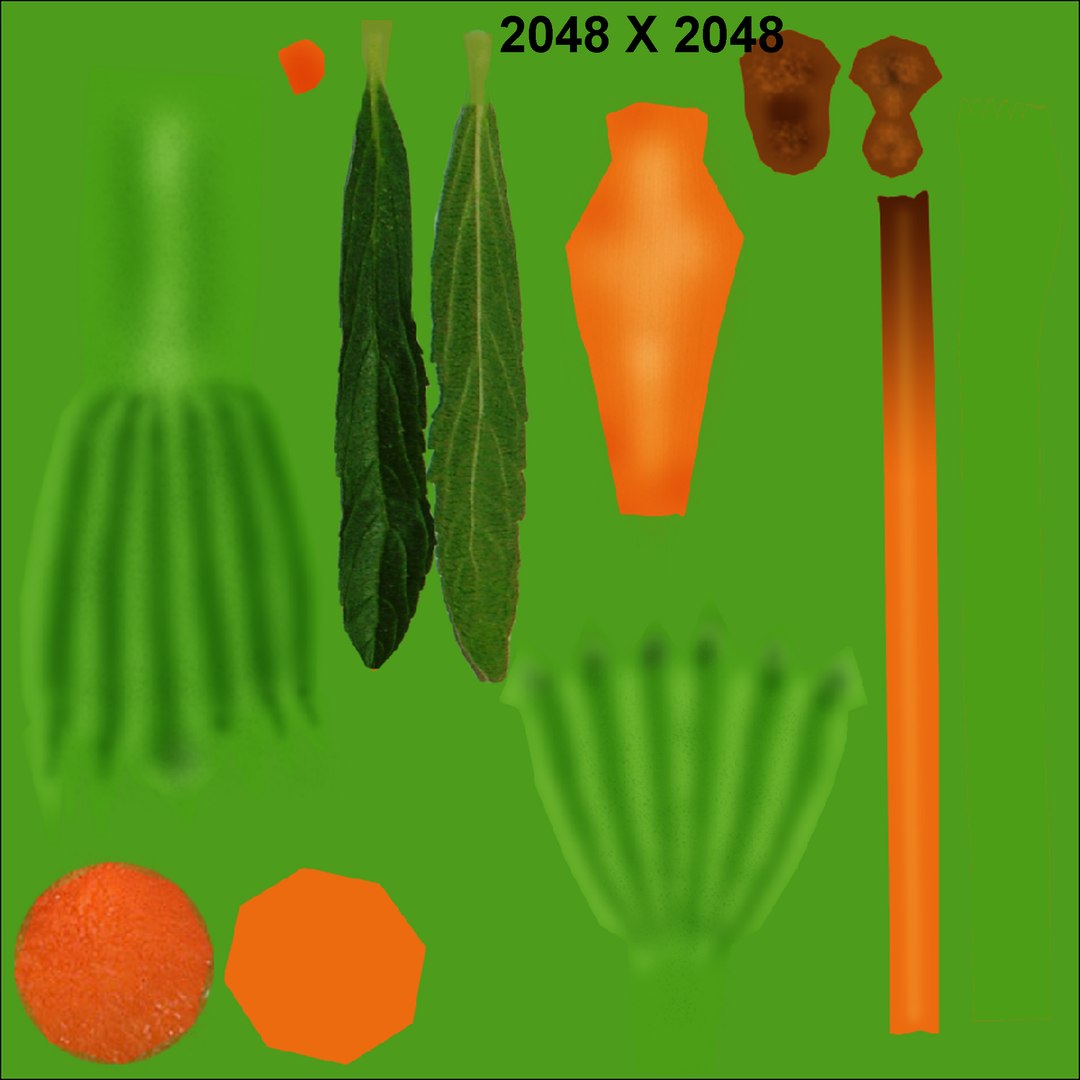 Leonotis Flowering Plants 3d Model