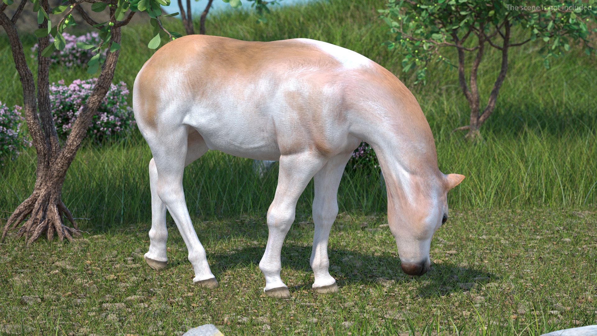 Realistic Shetland Pony Rigged For Maya 3D Model - TurboSquid 2258199