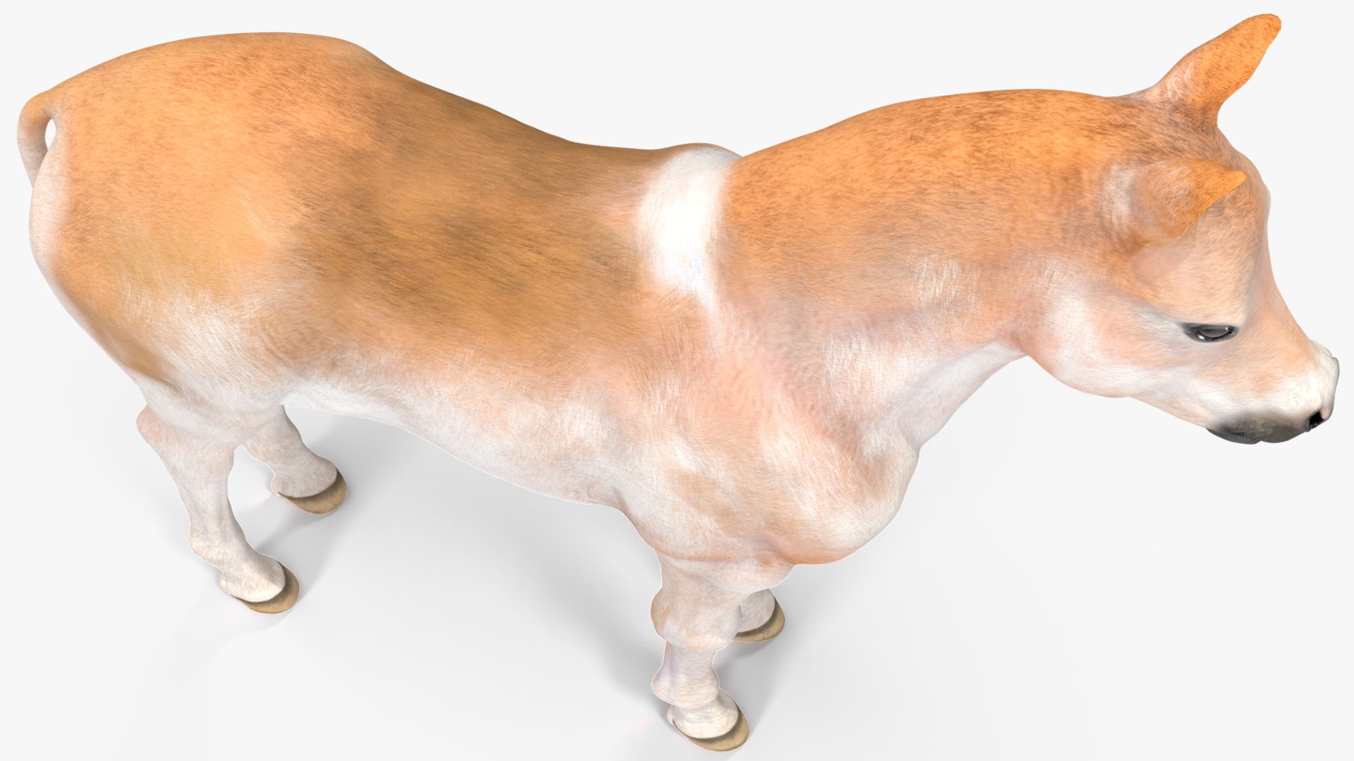 Realistic Shetland Pony Rigged For Maya 3D Model - TurboSquid 2258199