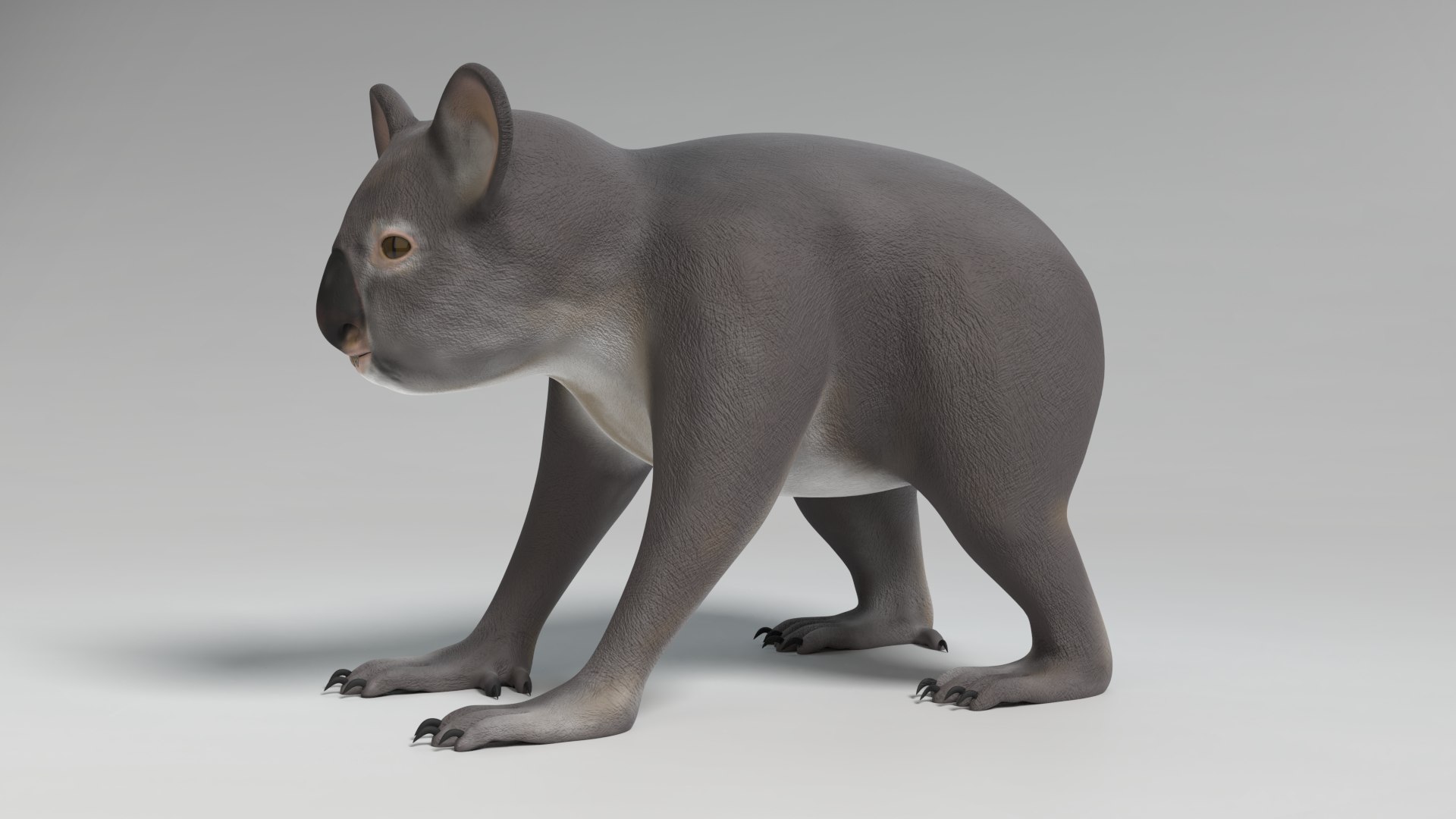 3D koala animal mammal model - TurboSquid 1622056