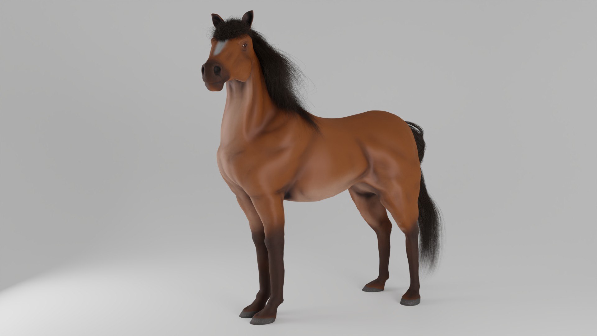 3D Model Horse - TurboSquid 2053350