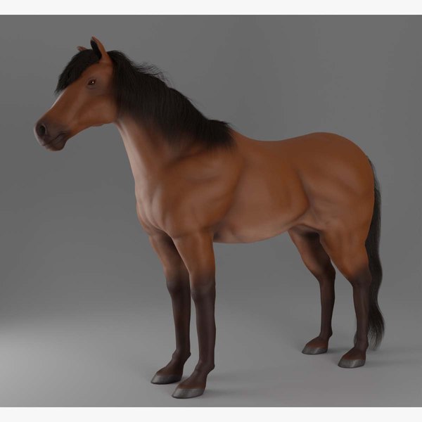 Caballos STL Modelos para Descargar | TurboSquid