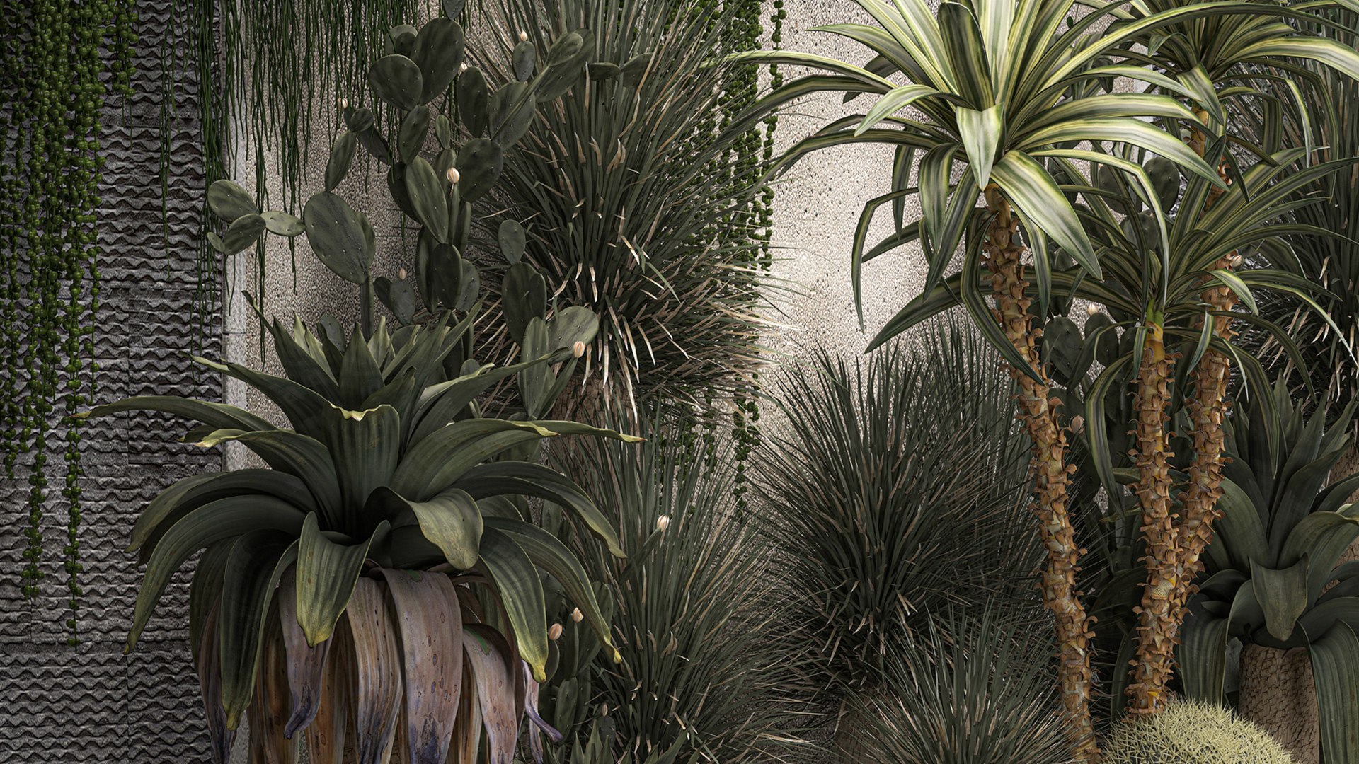 Collection Of Tropical Desert Plants From Cactus 3D Model - TurboSquid ...