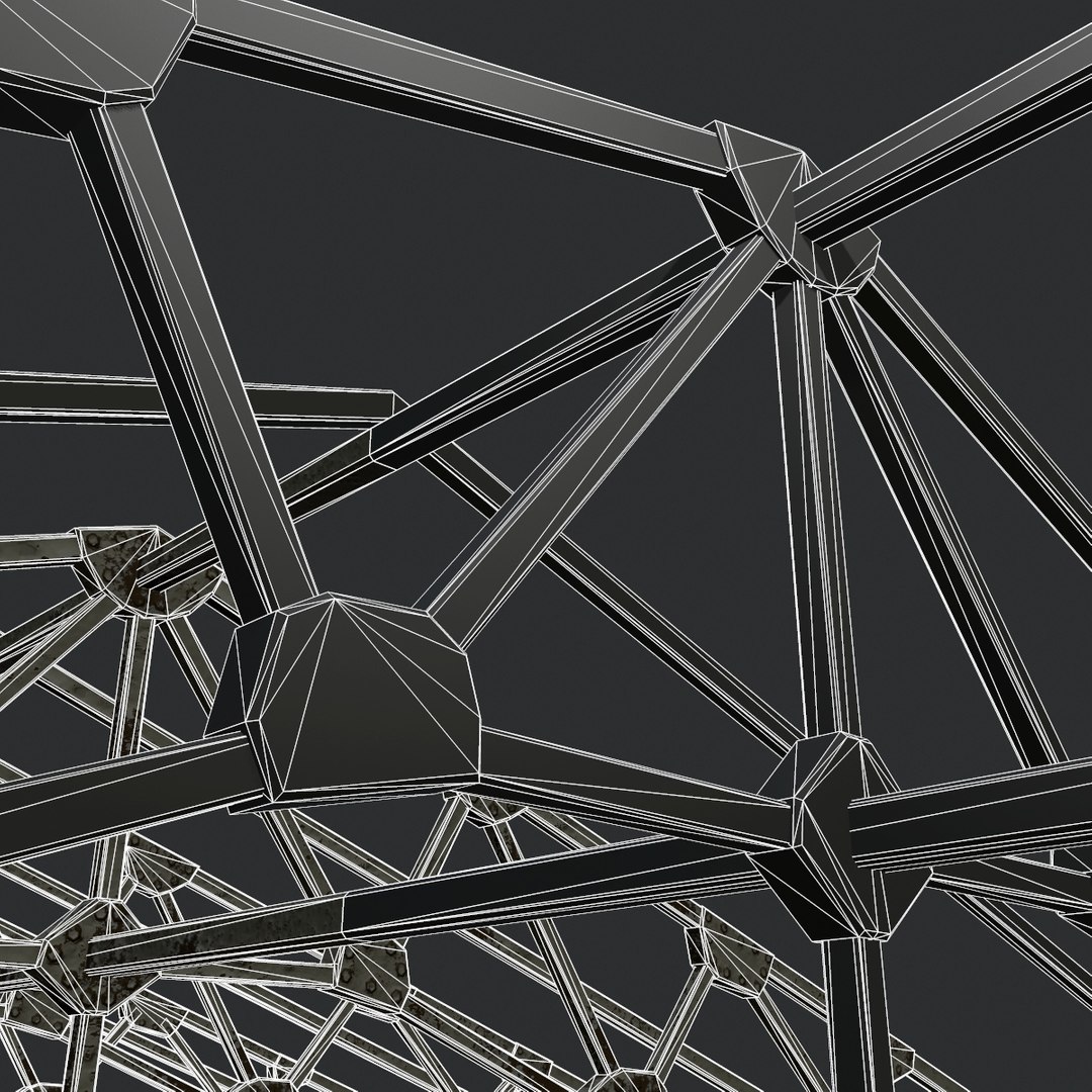 Max Rusty Rafter Ceiling