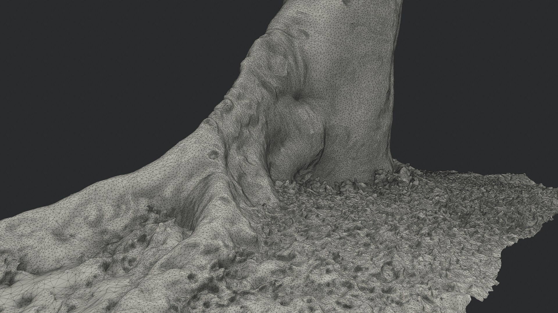 Tropical Tree Scan 3d Model