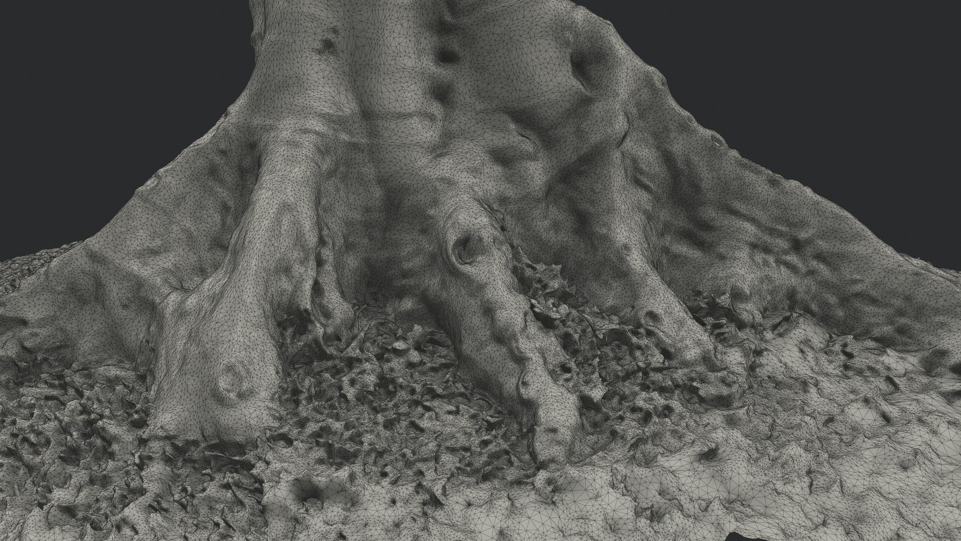 Tropical Tree Scan 3d Model