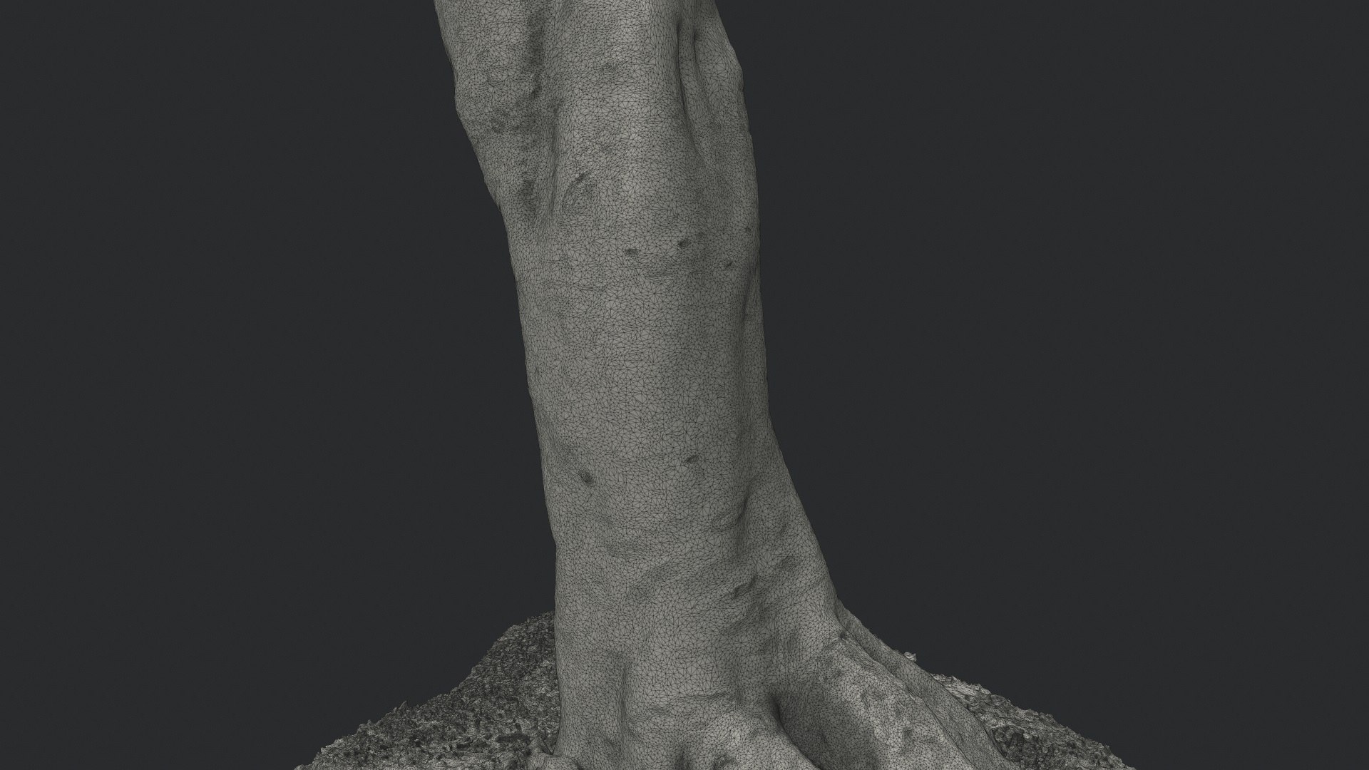 Tropical Tree Scan 3d Model