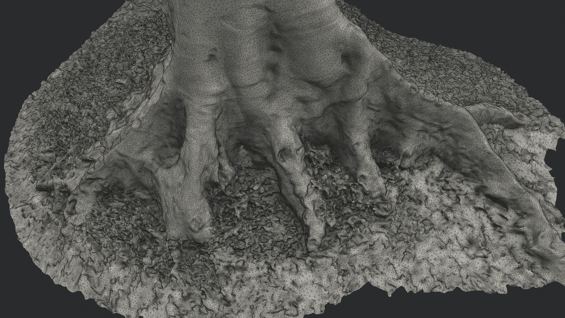 Tropical Tree Scan 3d Model