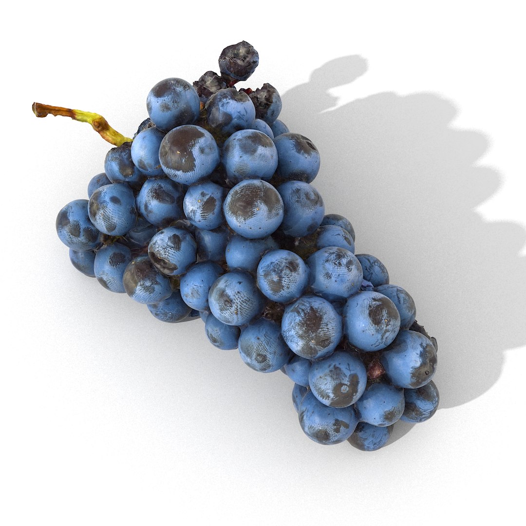 3D Scan Grape Realistic - TurboSquid 1150417