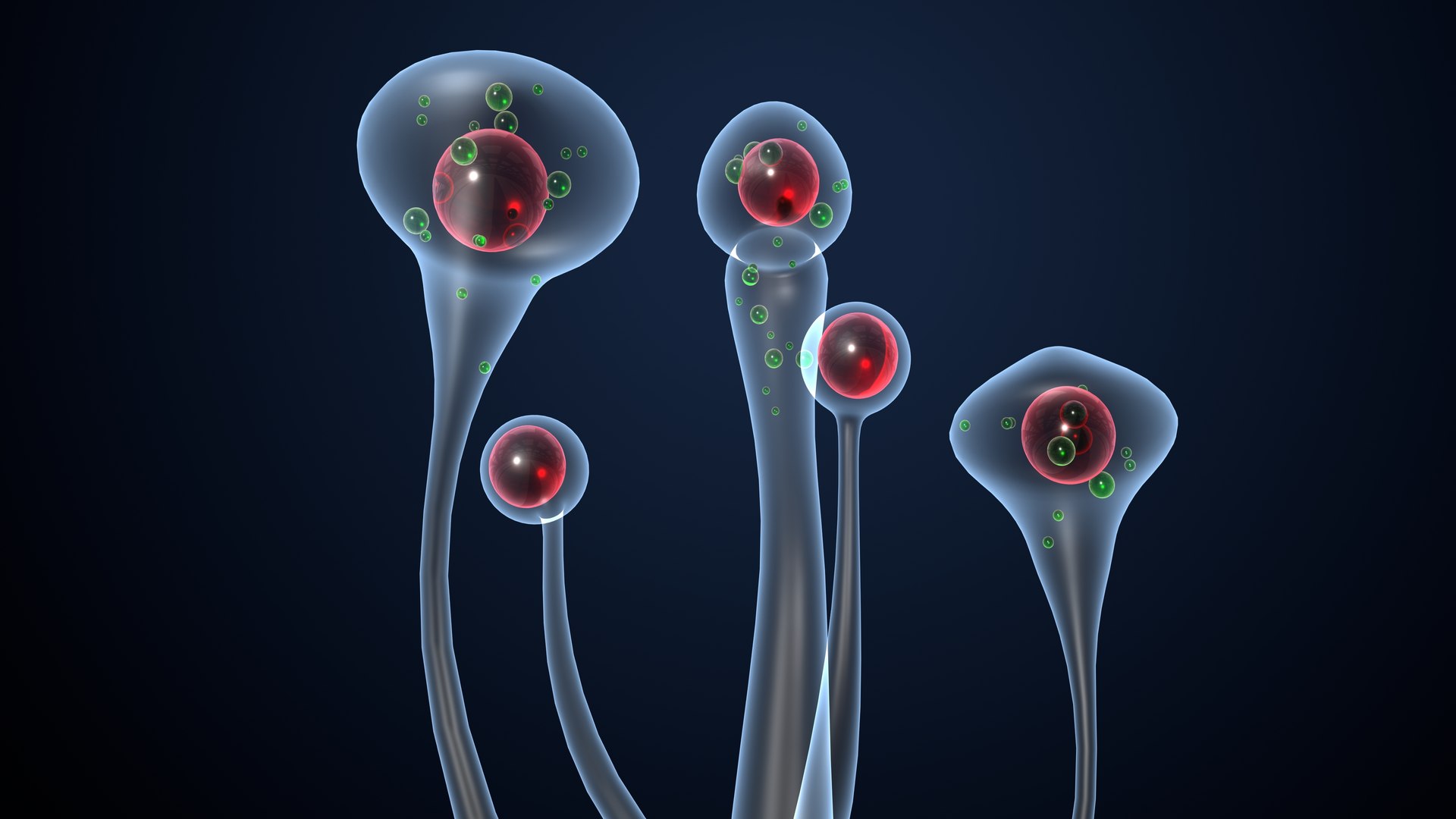 Mucor 3D Model - TurboSquid 2262099