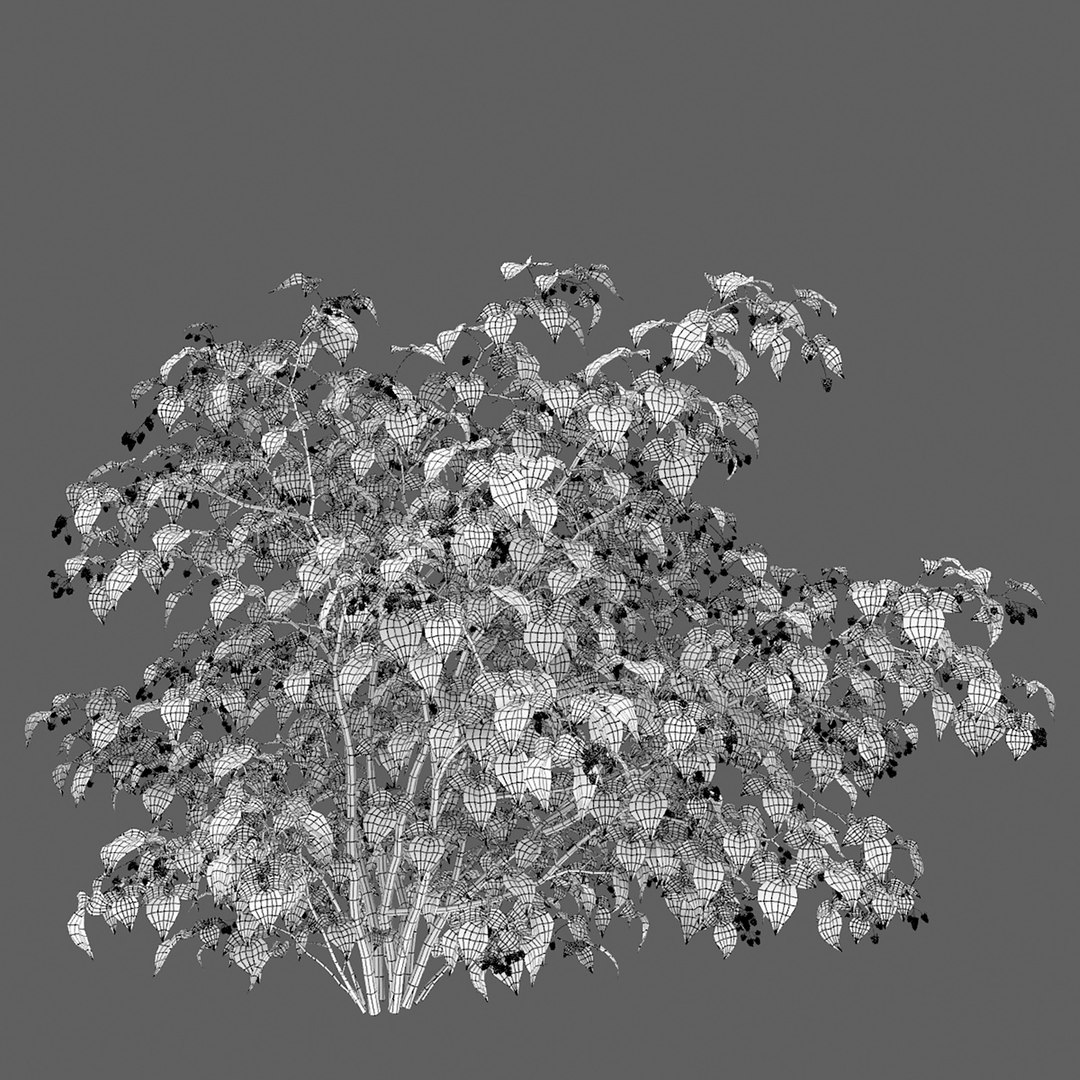 Raspberry Bush 01 3D Model - TurboSquid 1819880