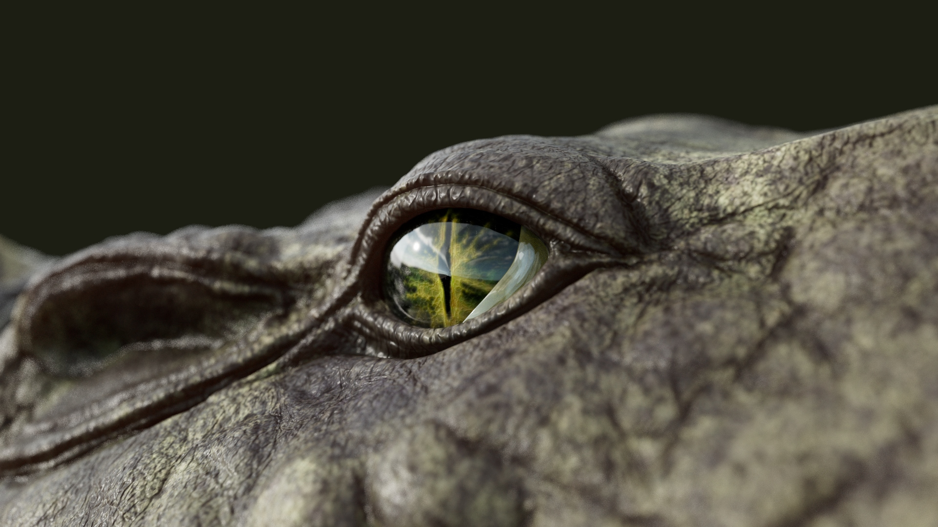 3D Crocodile Rigged - TurboSquid 2357915